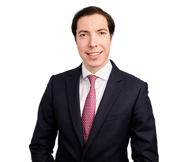 Thomas Timmermans | Professionals | Greenberg Traurig LLP