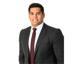 Cesar L. Avila | Construction Law Lawyer | Professionals | Greenberg ...