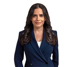 Jennifer M. Gomez | Litigation Lawyer | Professionals | Greenberg ...