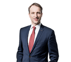 Dr. Martin Hamer | Environmental Lawyer | Professionals | Greenberg ...