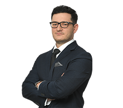Brian J. Landau | Professionals | Greenberg Traurig LLP