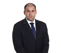 Michael E. Mirdamadi | Litigation Lawyer | Professionals | Greenberg ...